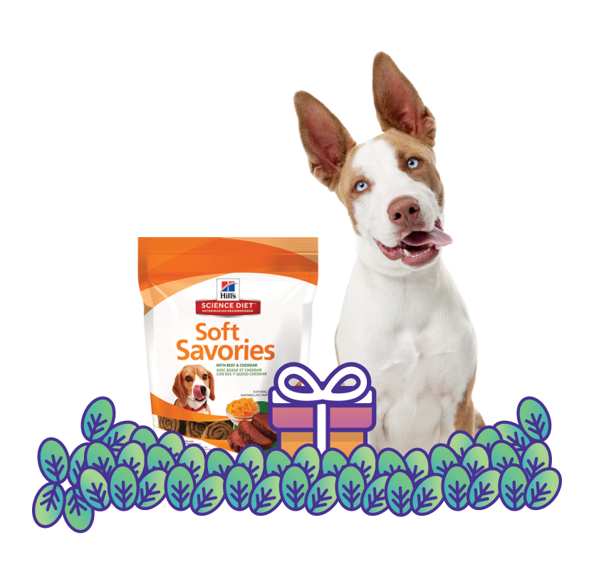 Ofertas Diciembre 2023 – Arca de Noe